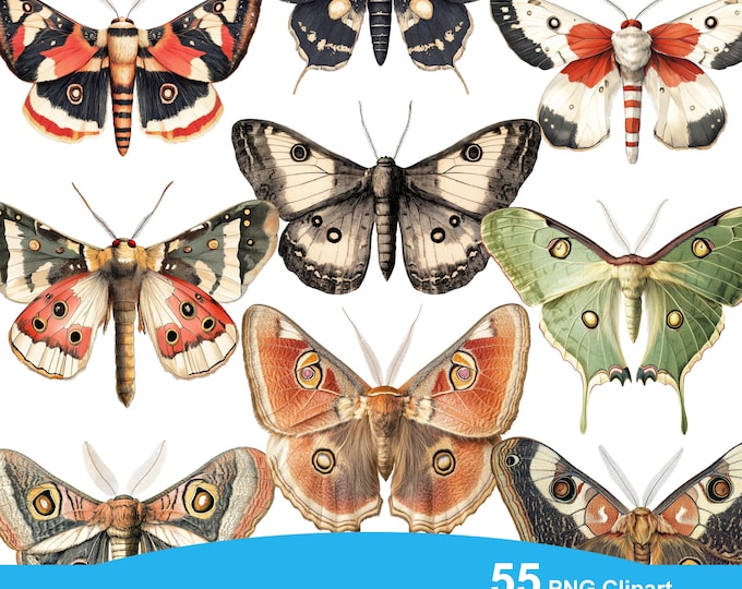 20 PNG Watercolor Galaxy Moths Clipart, Vintage Moth Clip Art, Moths ...