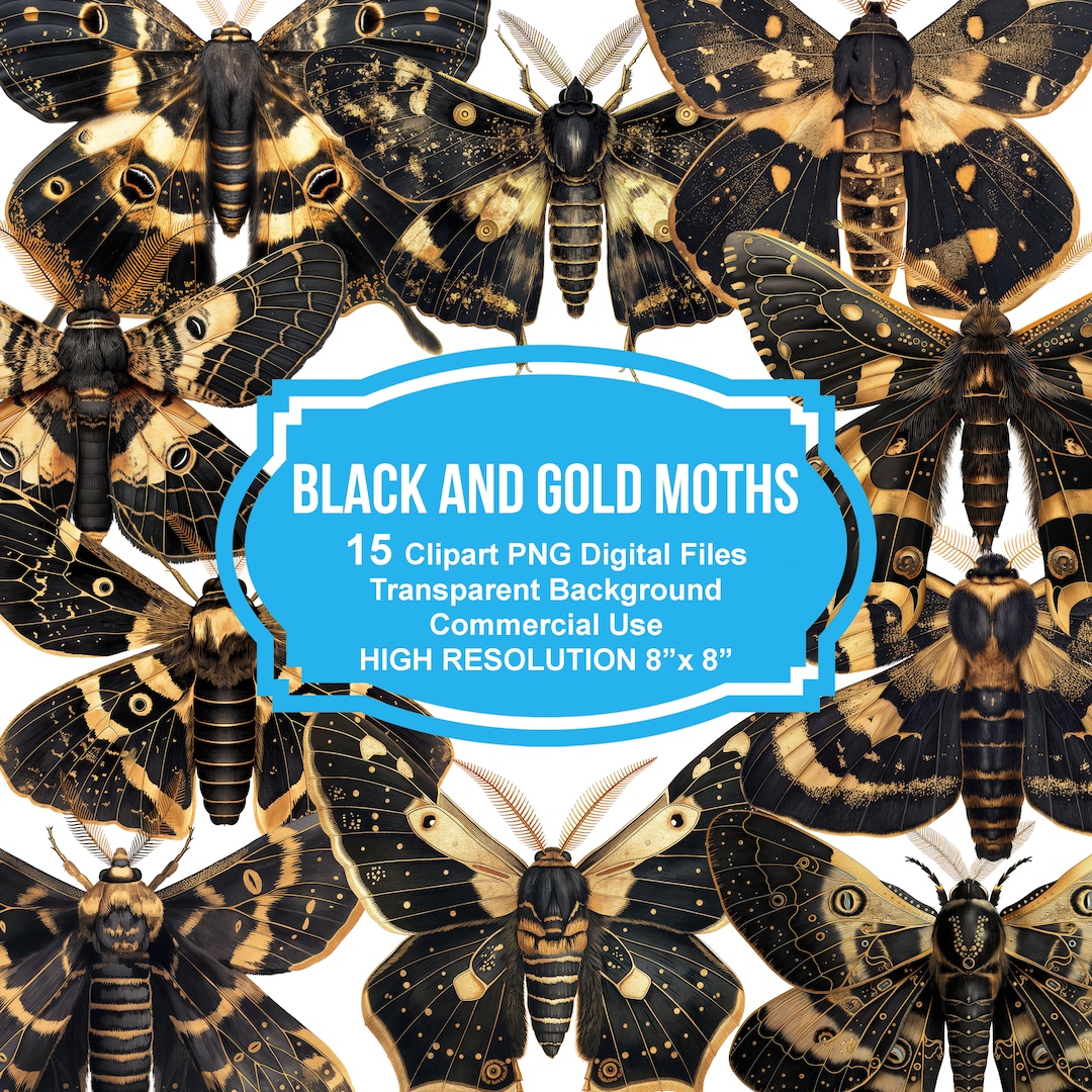 Black and Gold Moth Clipart - Digital Moth Illustrations in Png Clip ...