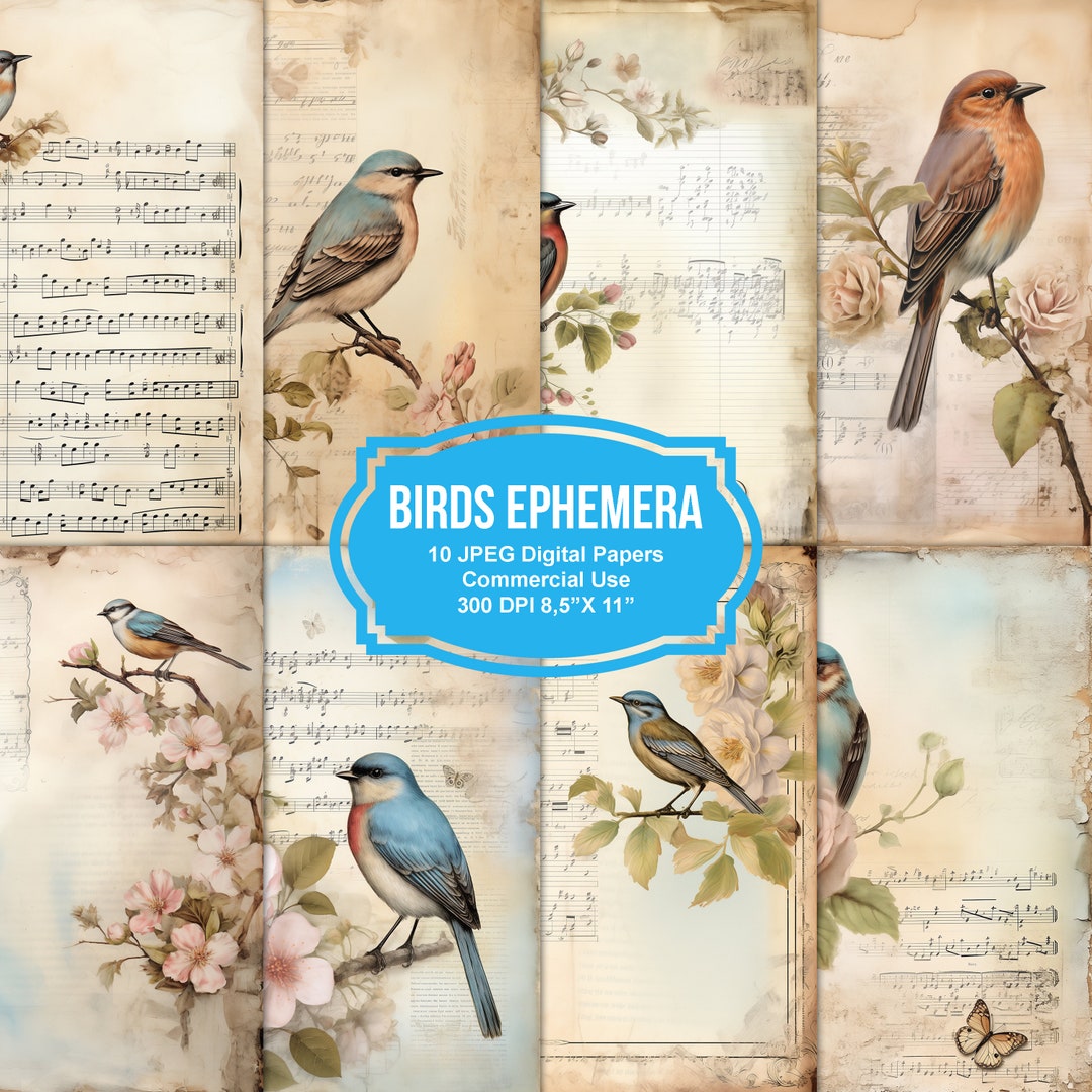 10 Birds Ephemera Junk Journal Printable Pages, Junk Journal Kit ...