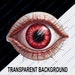 20 Horror Eyes Clipart 8" X 8" - Transparent Background Digital ...