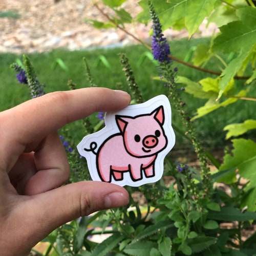 Husband Gift Cool Pig Mens T Shirt Funny Gift T Shirt Dad | Etsy