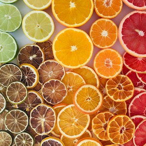 Citrus Mix, 5 Citrus Blend, 40 Slices per 100g - Etsy