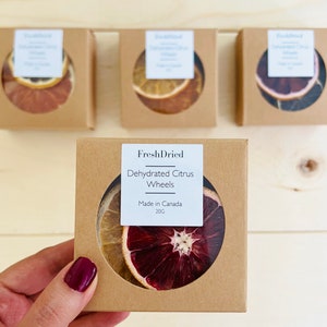 Dried Citrus Wheels in Small Boxes - Etsy