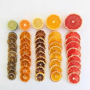 Citrus Mix, 5 Citrus Blend, 40 Slices per 100g - Etsy