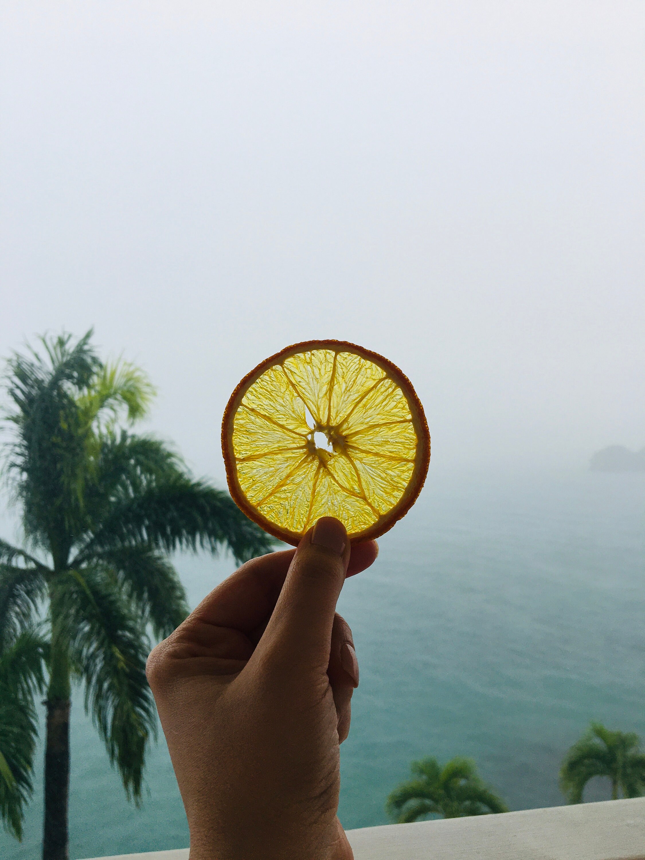 Organic Dried Orange Wheels 30 Slices per 100g - Etsy