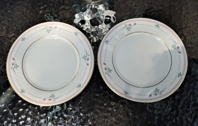 Lenox Rose Manor Salad Plates-metropolitan Collection- 8 1/4"/ Classic ...