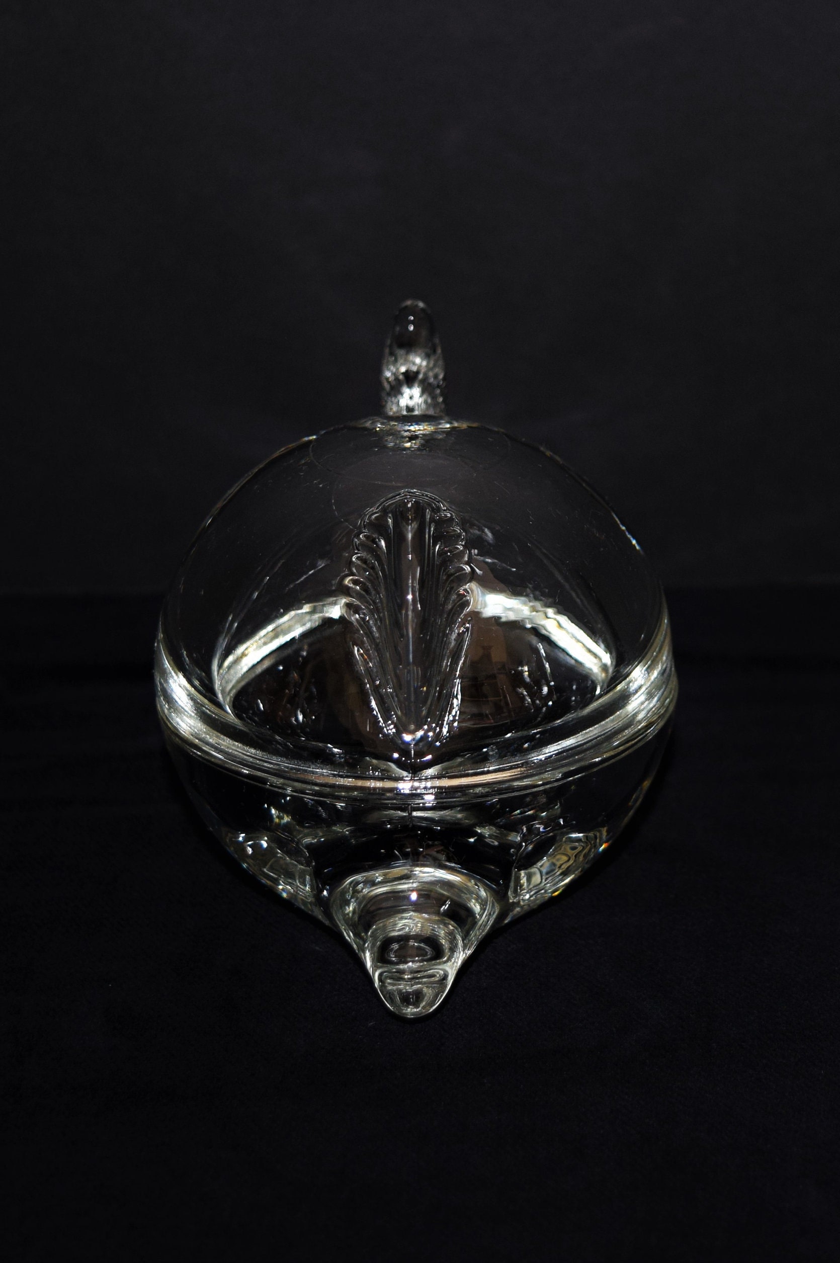 Orb Glass Fish Covered Bowl/ Ocean Sea Marine Life Tropical Fish ...