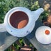 Stangl Chicory Teapot/ Blue Flower Pottery/ Kitchenware - Etsy
