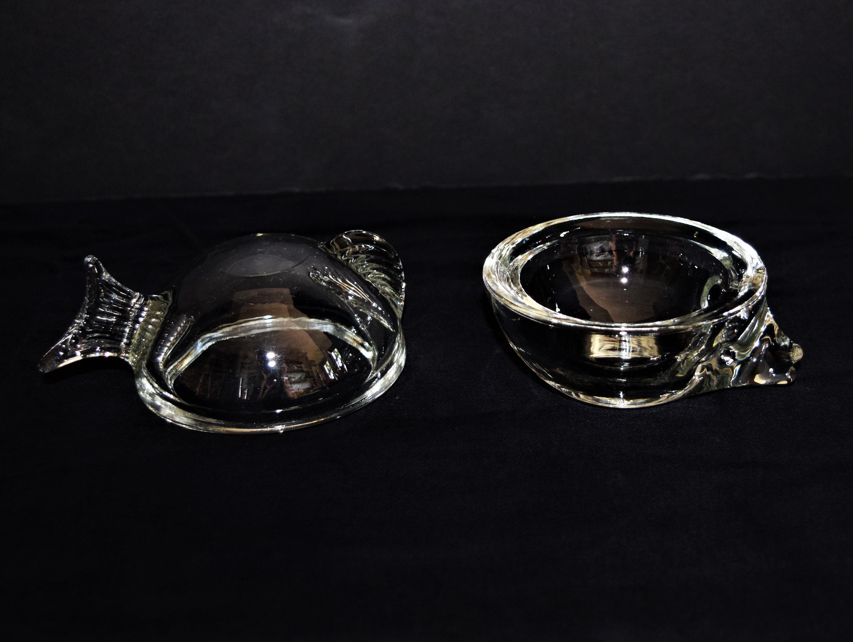 Orb Glass Fish Covered Bowl/ Ocean Sea Marine Life Tropical - Etsy