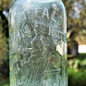 Buffalo Water Lithia Springs Aqua Glass Bottle Authentic - Etsy
