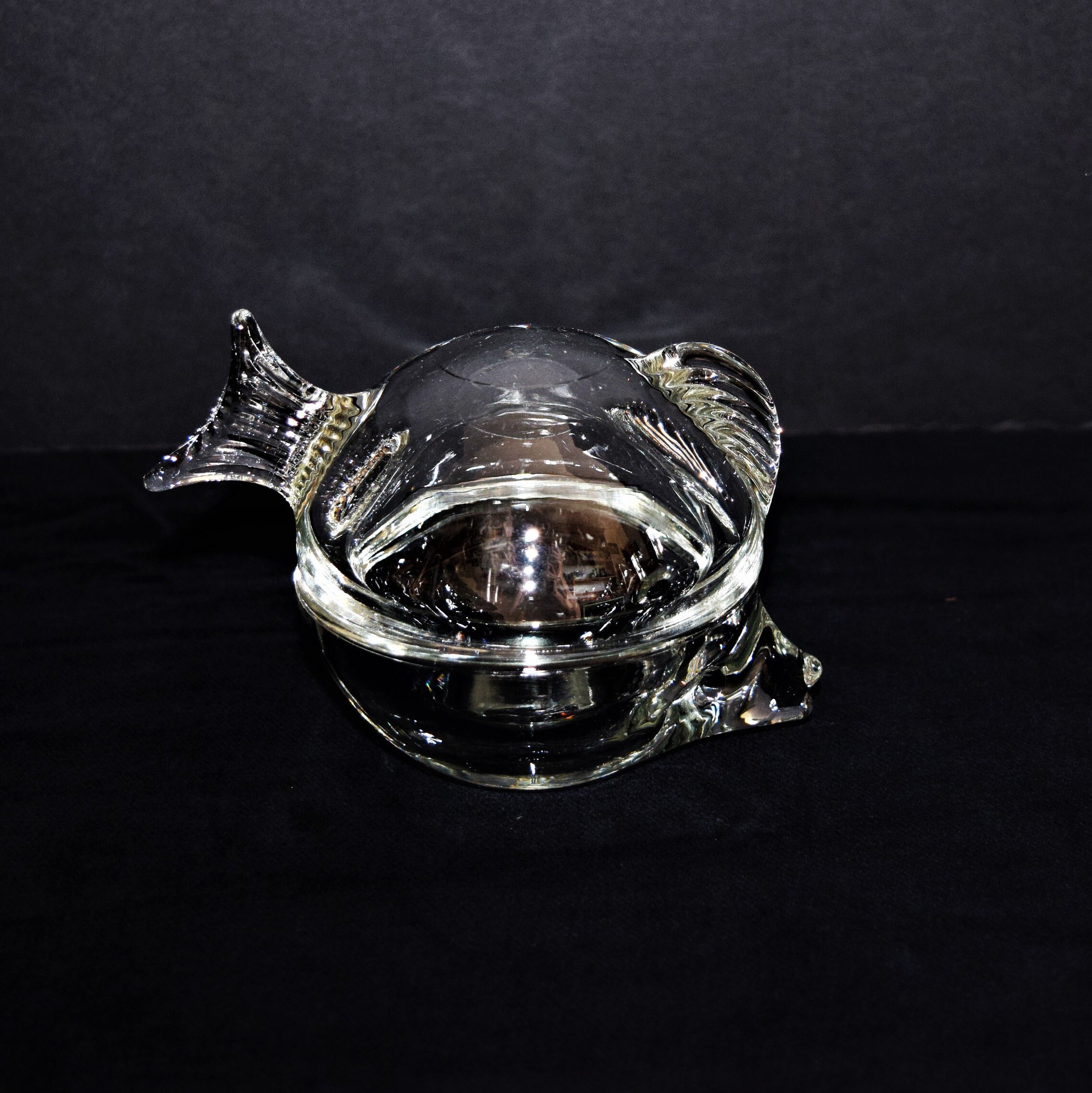 Orb Glass Fish Covered Bowl/ Ocean Sea Marine Life Tropical Fish ...