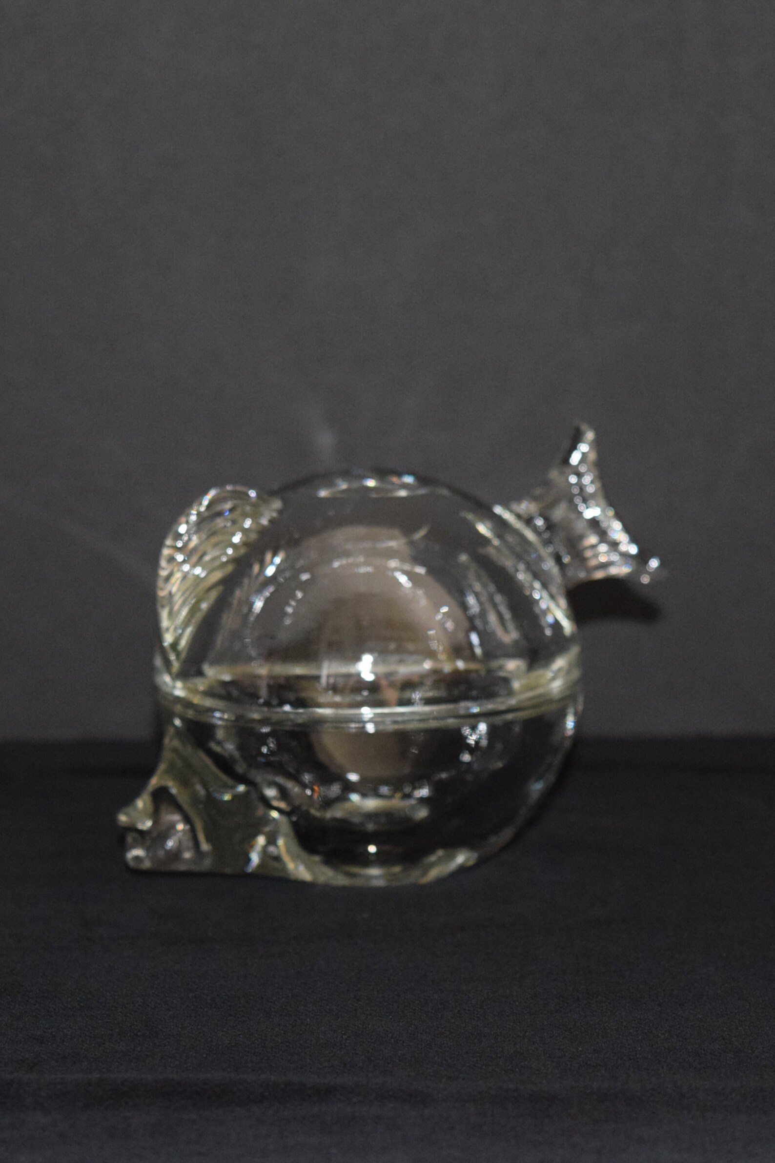 Orb Glass Fish Covered Bowl/ Ocean Sea Marine Life Tropical Fish ...