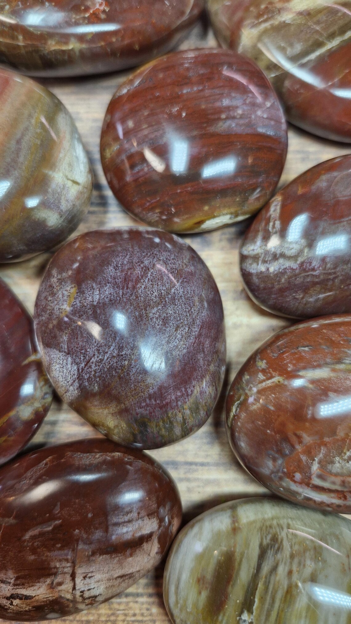 Natural Wet Polish Petrified Wood Palm Stones - Etsy