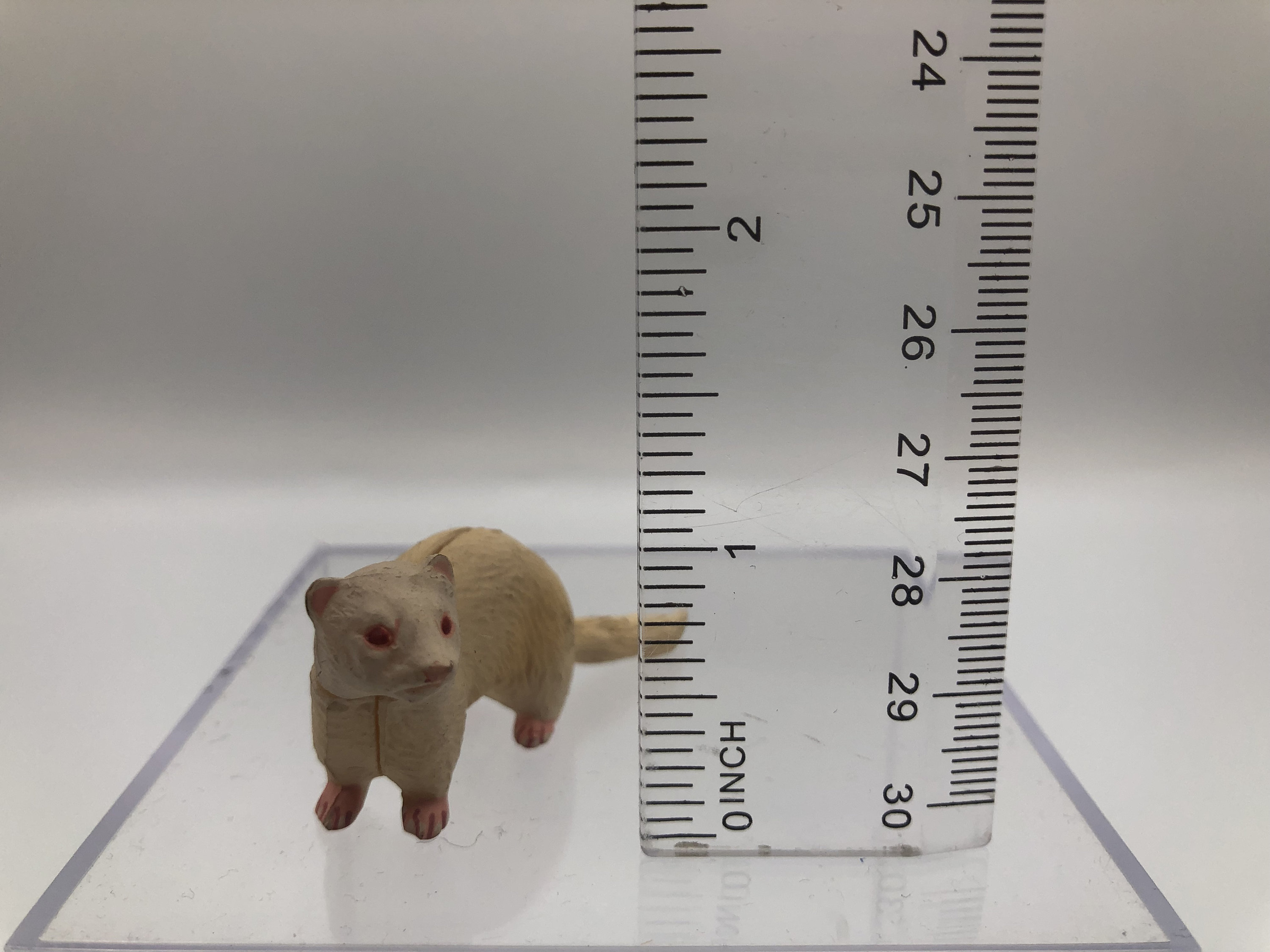 Japanese Animal Collection Kaiyodo Choco Egg Furuta Mini - Etsy UK