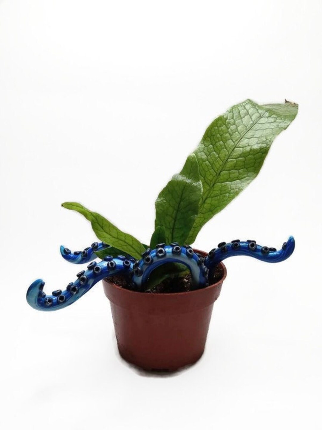 Decoration for Plant Pot, Decorative Octopus Stake for Plant, Plant ...