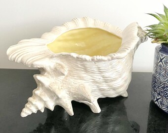 Conch Shell Planter - Etsy