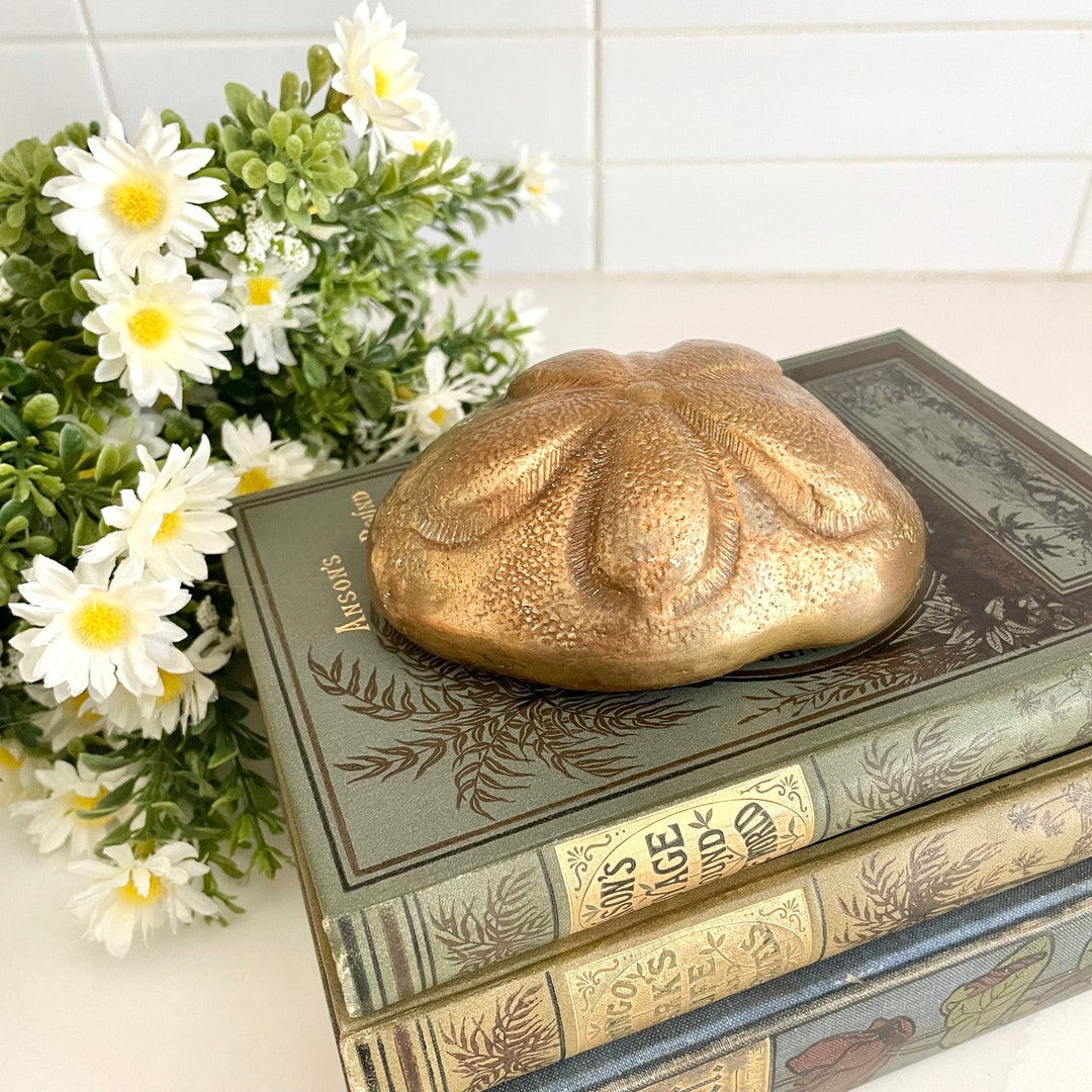 Chunky Brass Sand Dollar, Coastal Decor, Bohemian Style, Heavy ...