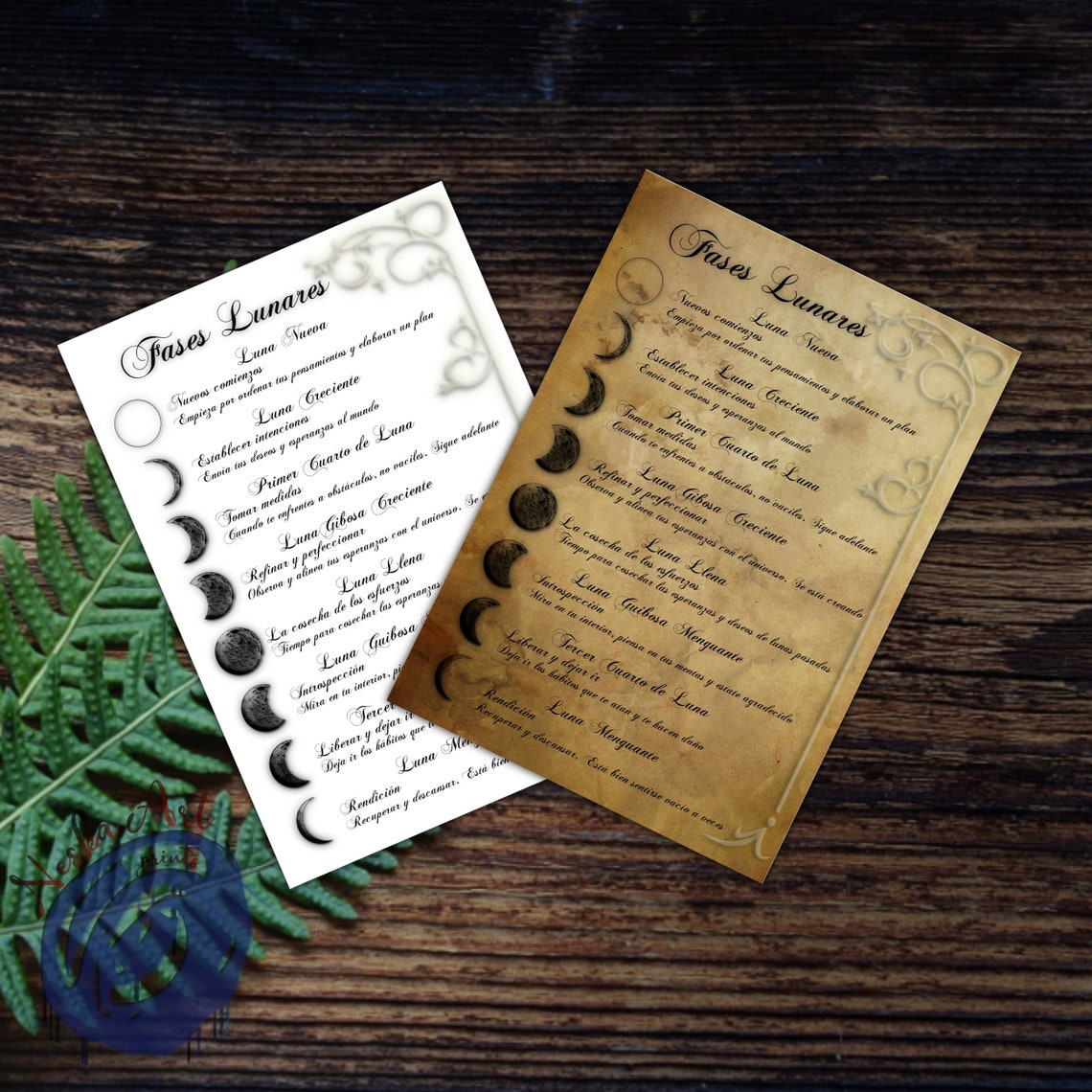 Fases Lunares Libro de Sombras. Guía fases de la luna. Altar - Etsy España