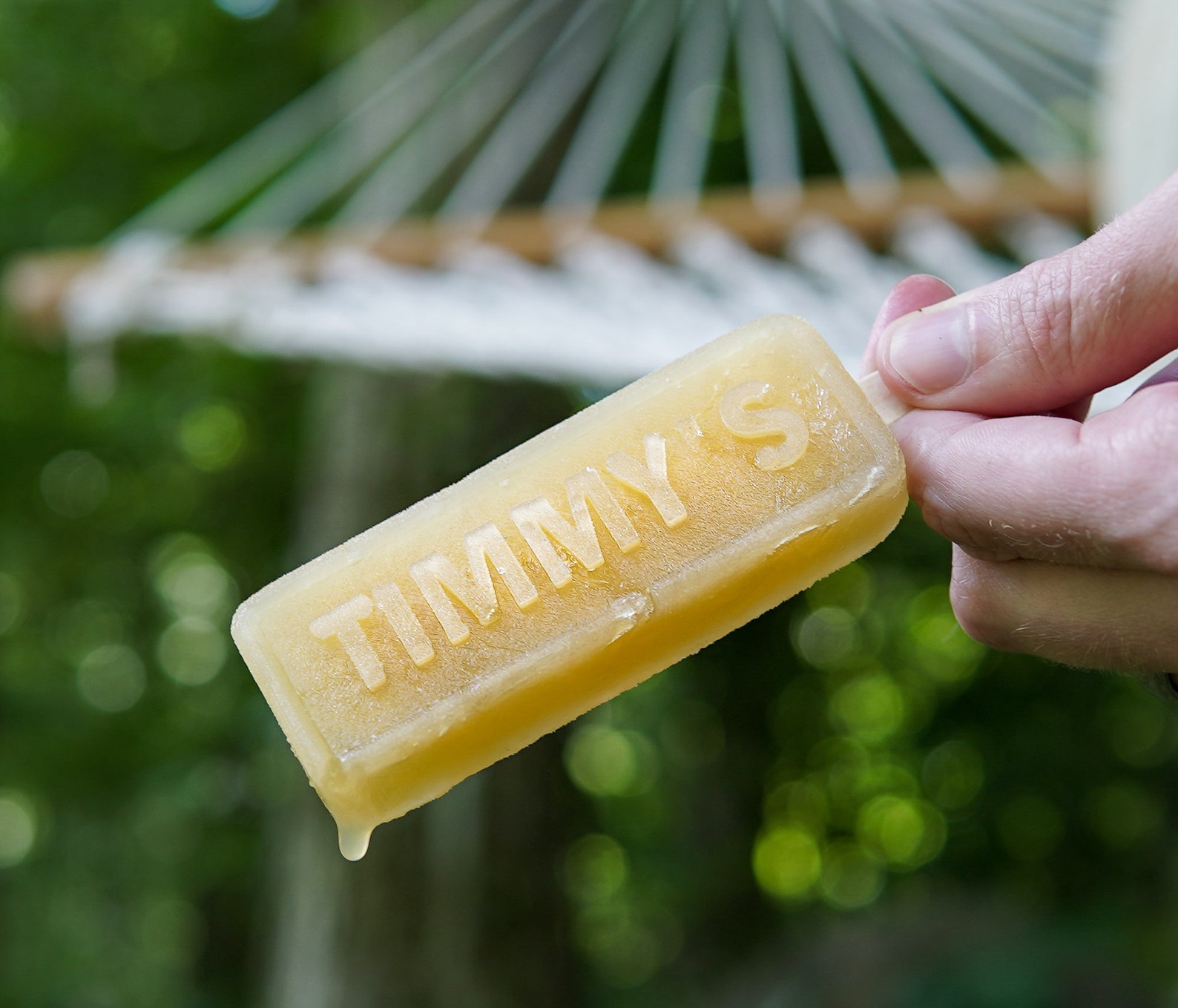 Personalized Popsicle Silicone Mold, Custom Text on Ice Cream, Cake Pop ...