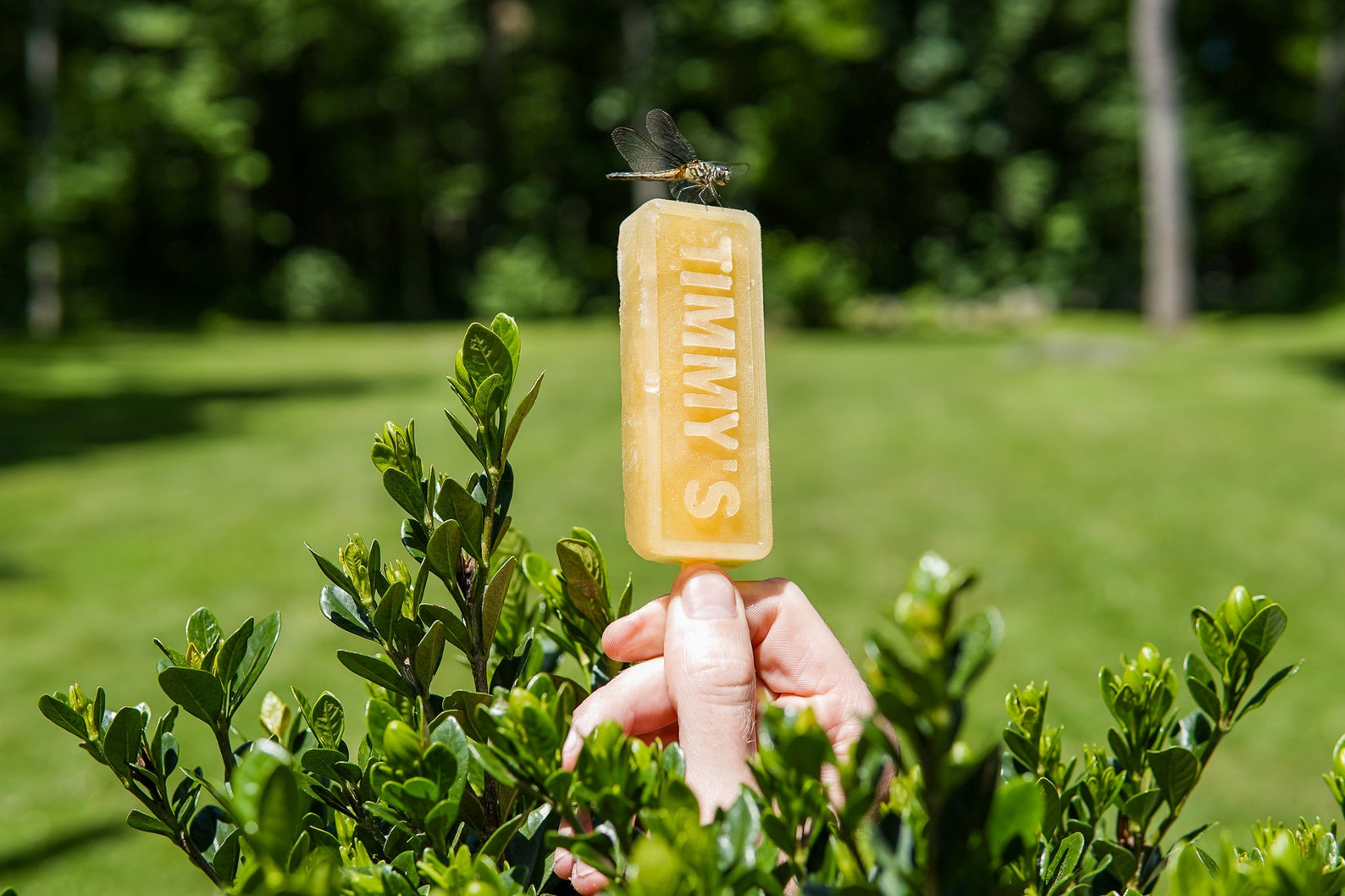 Personalized Popsicle Silicone Mold, Custom Text on Ice Cream, Cake Pop ...