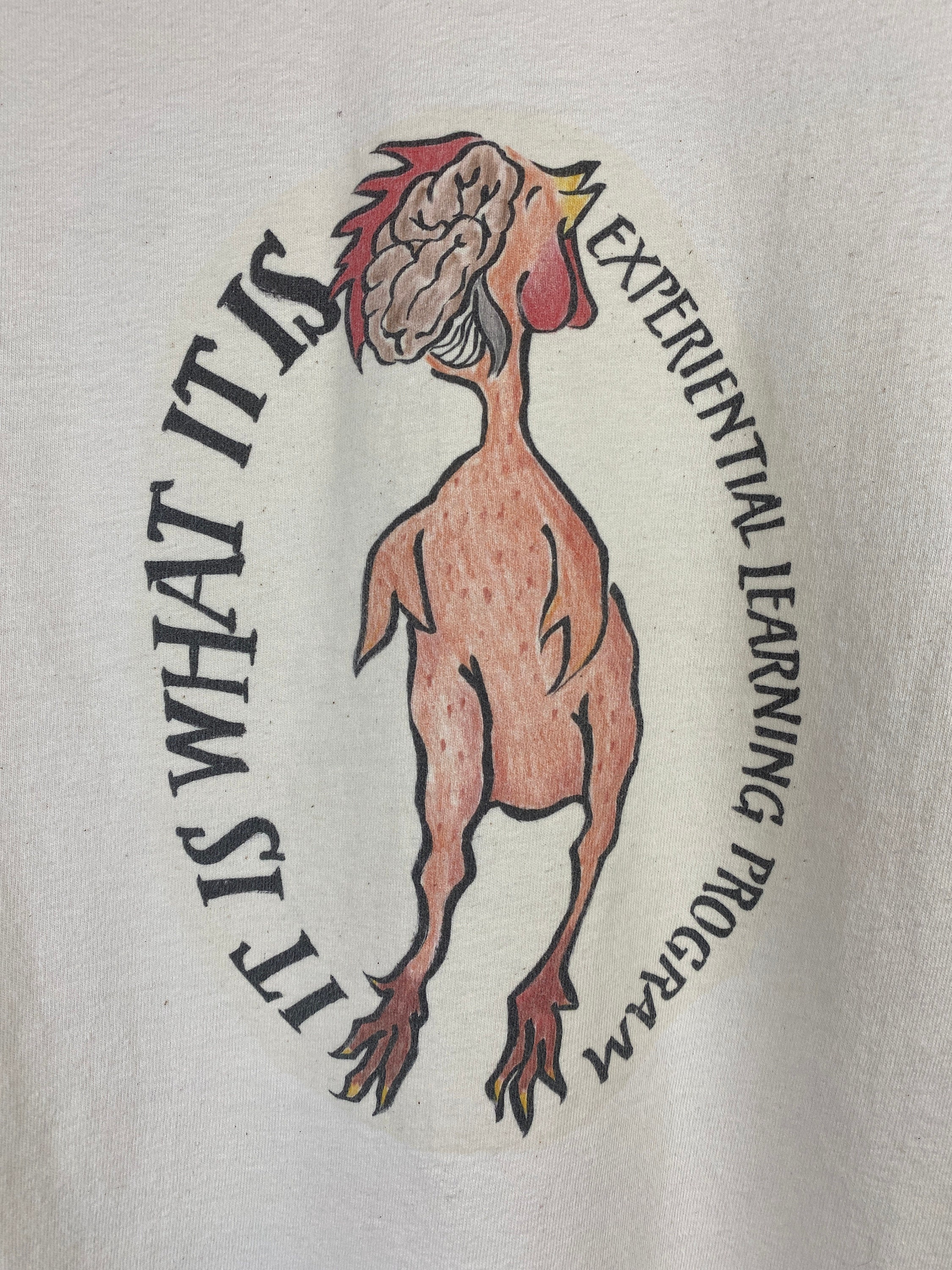 It is What It is Experiential Learning Program 1990s Graphic Shirt ...