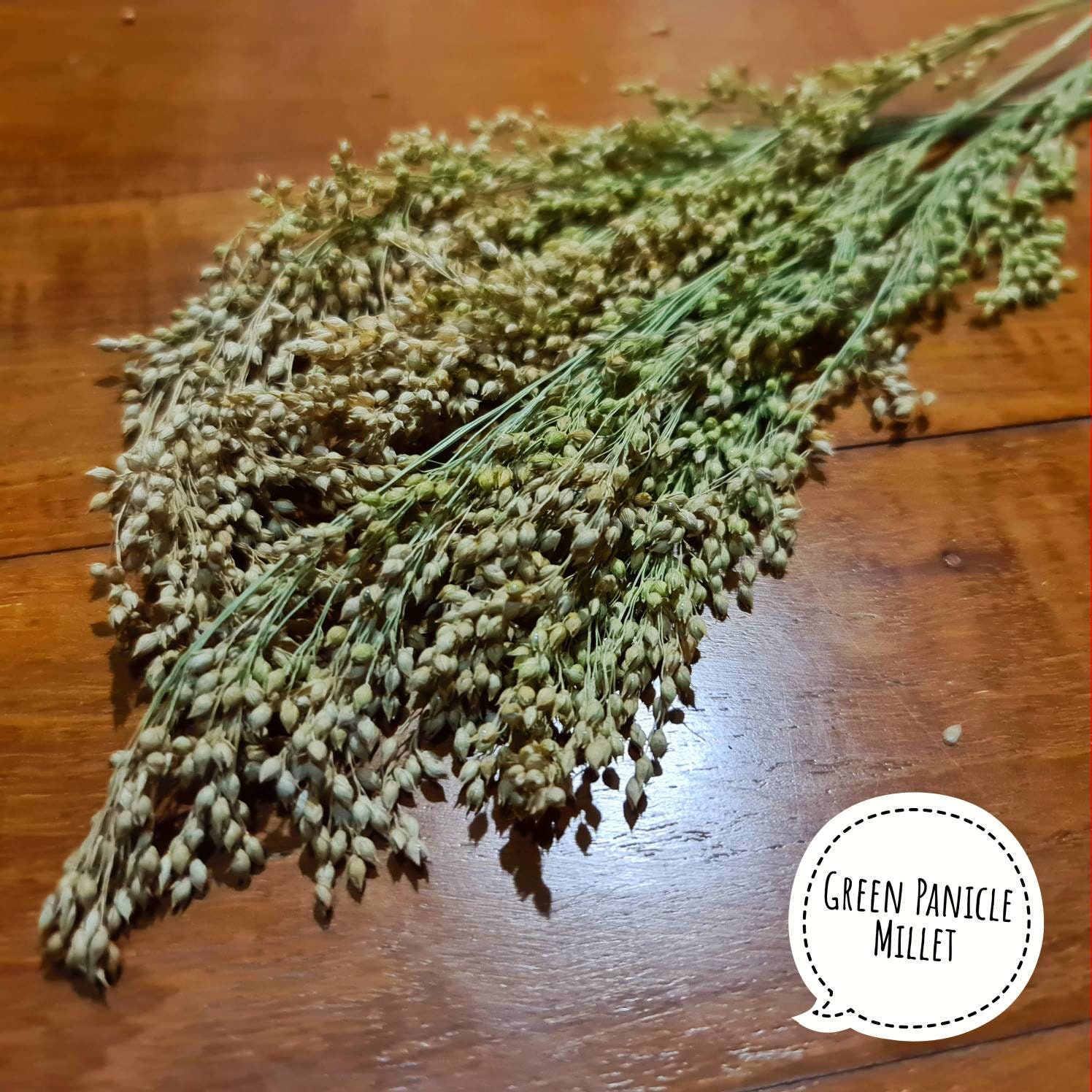 Organic Panicle Millet Black/Green/Silver/Red/Laplata | Etsy