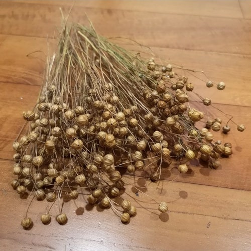 Organic Flax Spray - Etsy