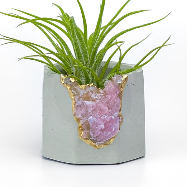 Crystal Planter - Etsy