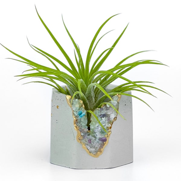 Crystal Planter - Etsy