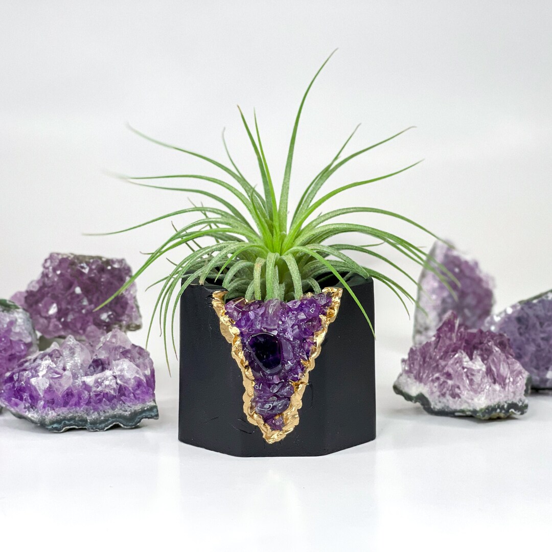 Amethyst Crystal Planter | Geode Planter Pot | Black Concrete Succulent ...