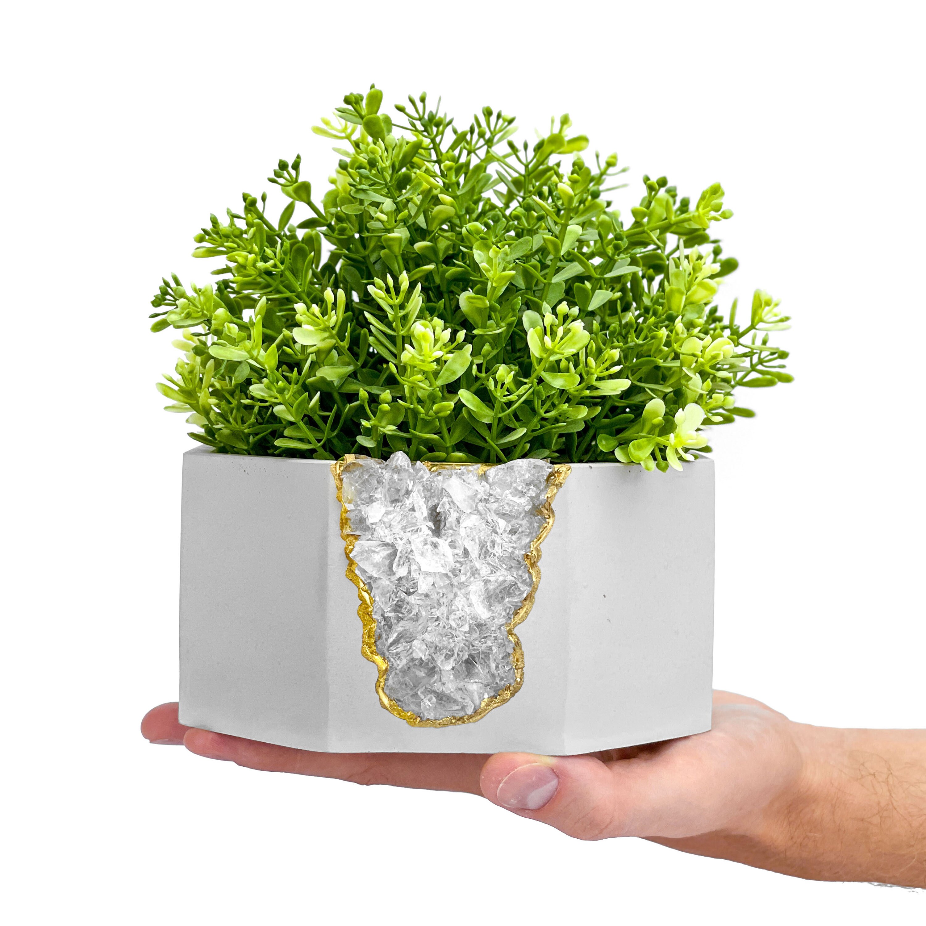 Raw Clear Quartz Crystal Planter | Large Geode Succulent Pot | Big Air ...