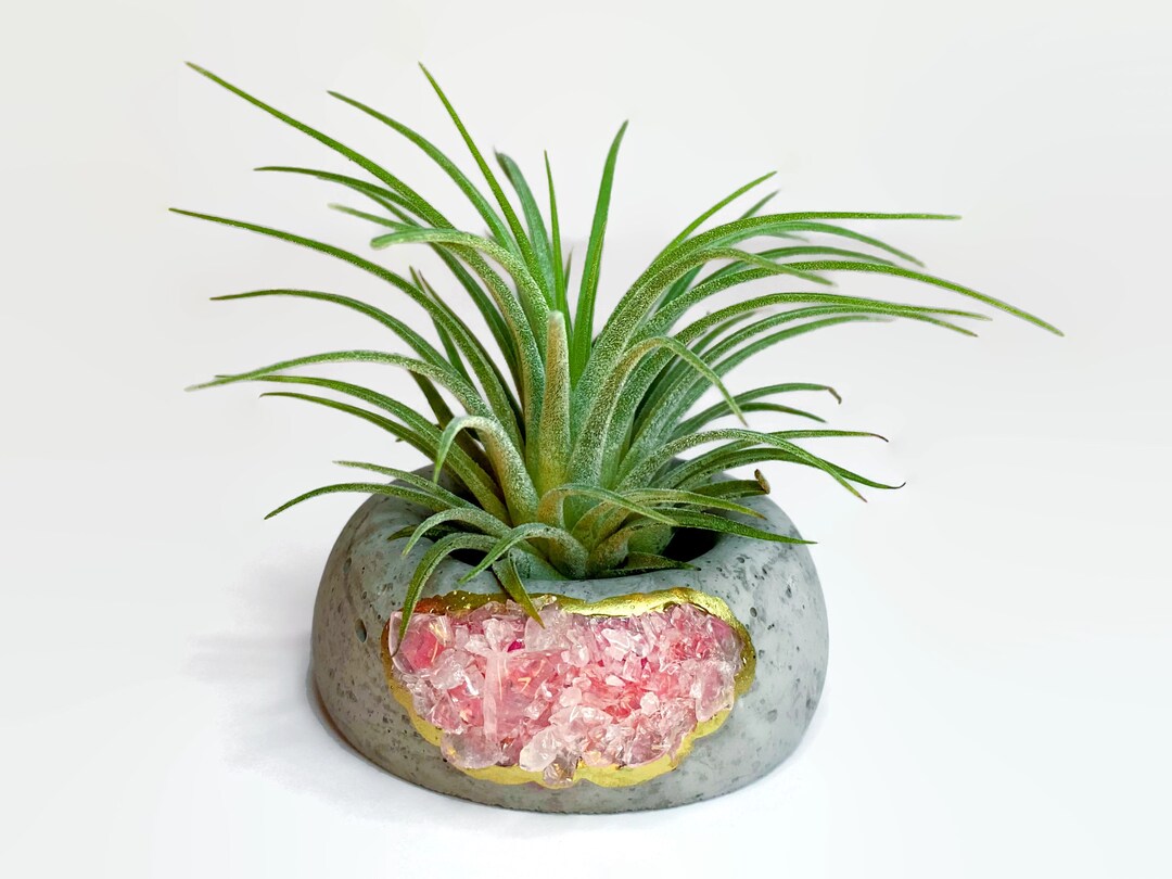 Rose Quartz Geode Air Plant Holder | Concrete Crystal Planter - Etsy