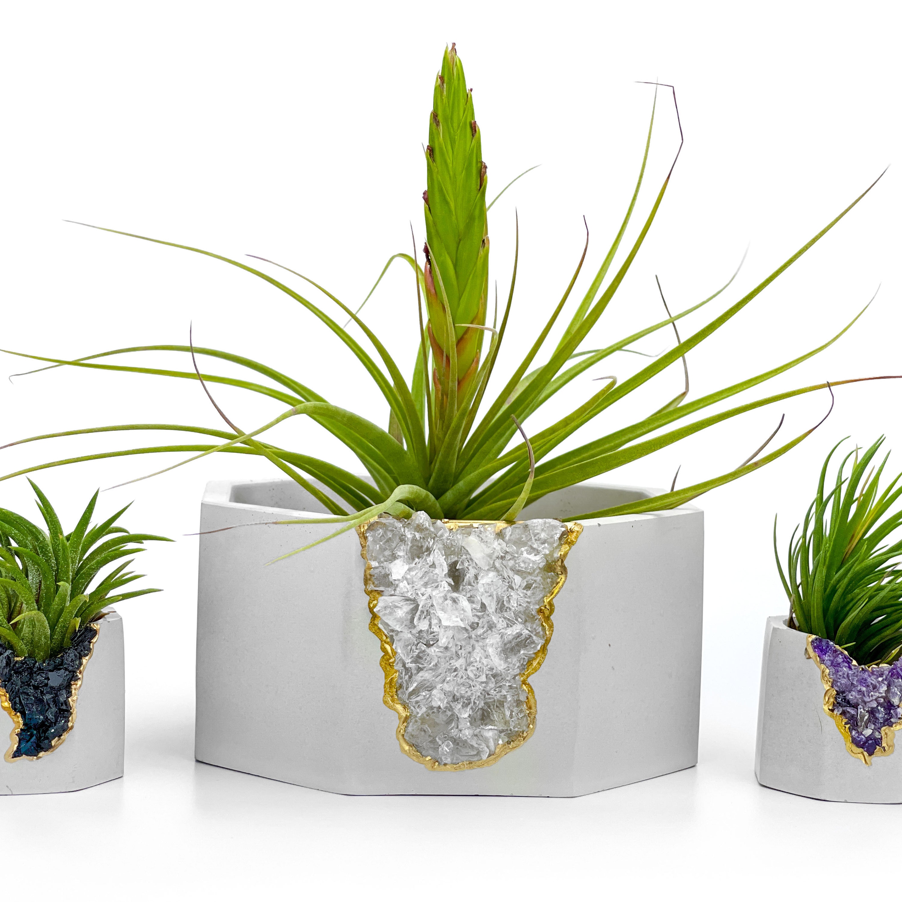 Raw Clear Quartz Crystal Planter | Large Geode Succulent Pot | Big Air ...