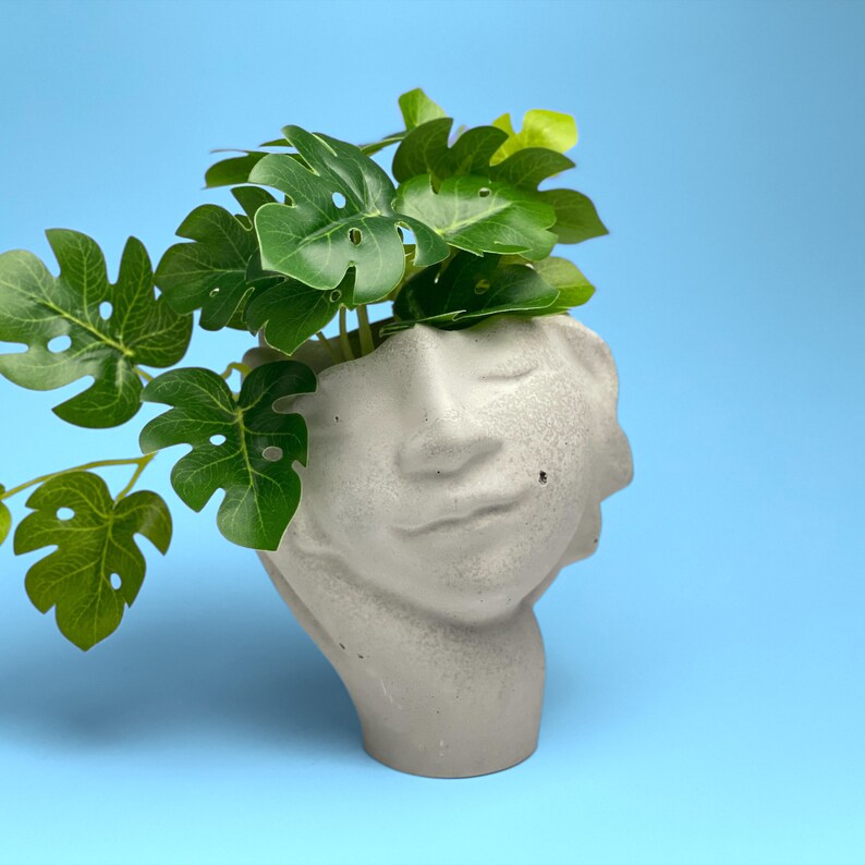 Cement Face Planter, Human Head Planter Pot, Concrete Smiley Face ...