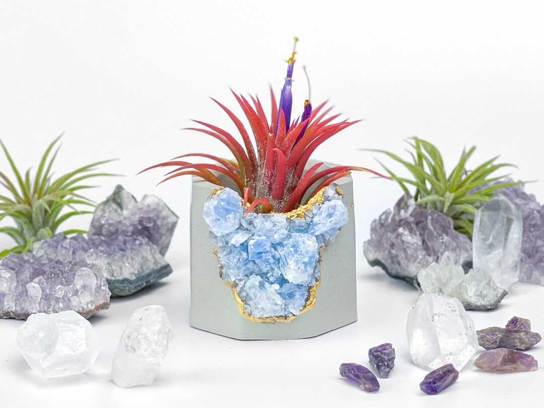 Succulent Crystal Planter | Geode Planter | Raw Blue Caltite Air Plant ...