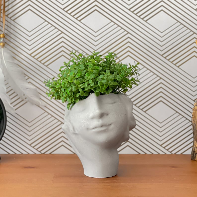 Cement Face Planter Human Head Planter Pot Concrete Smiley - Etsy