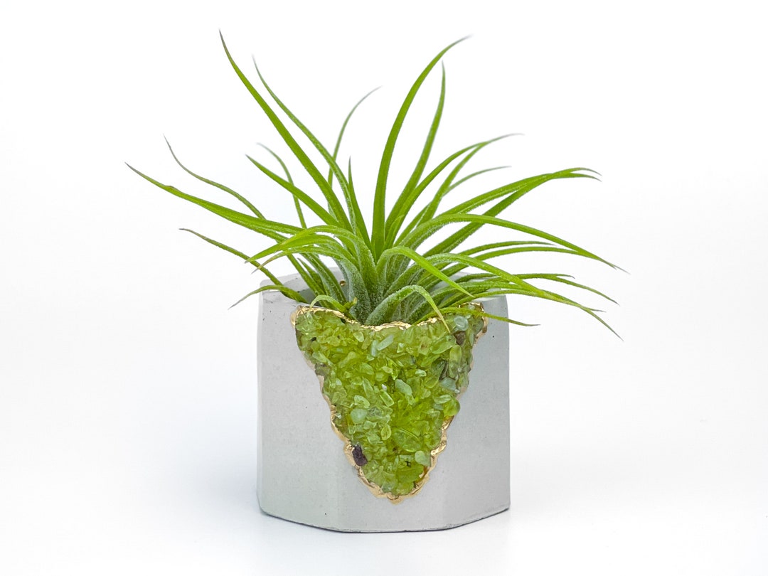 Green Peridot Succulent Pot Crystal Planter | Geode Planter Mini Air ...