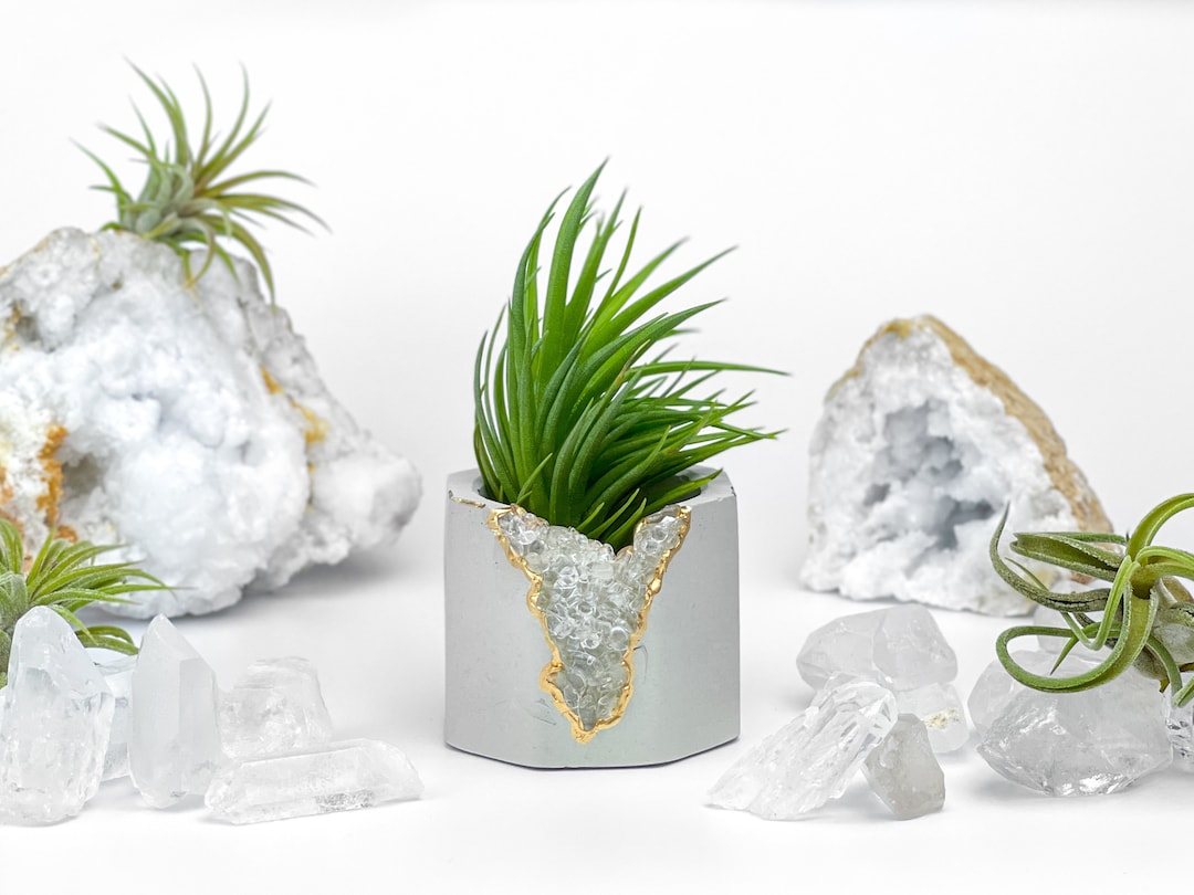 Clear Quartz Crystal Planter | Small Succulent Pot | Mini Air Plant ...