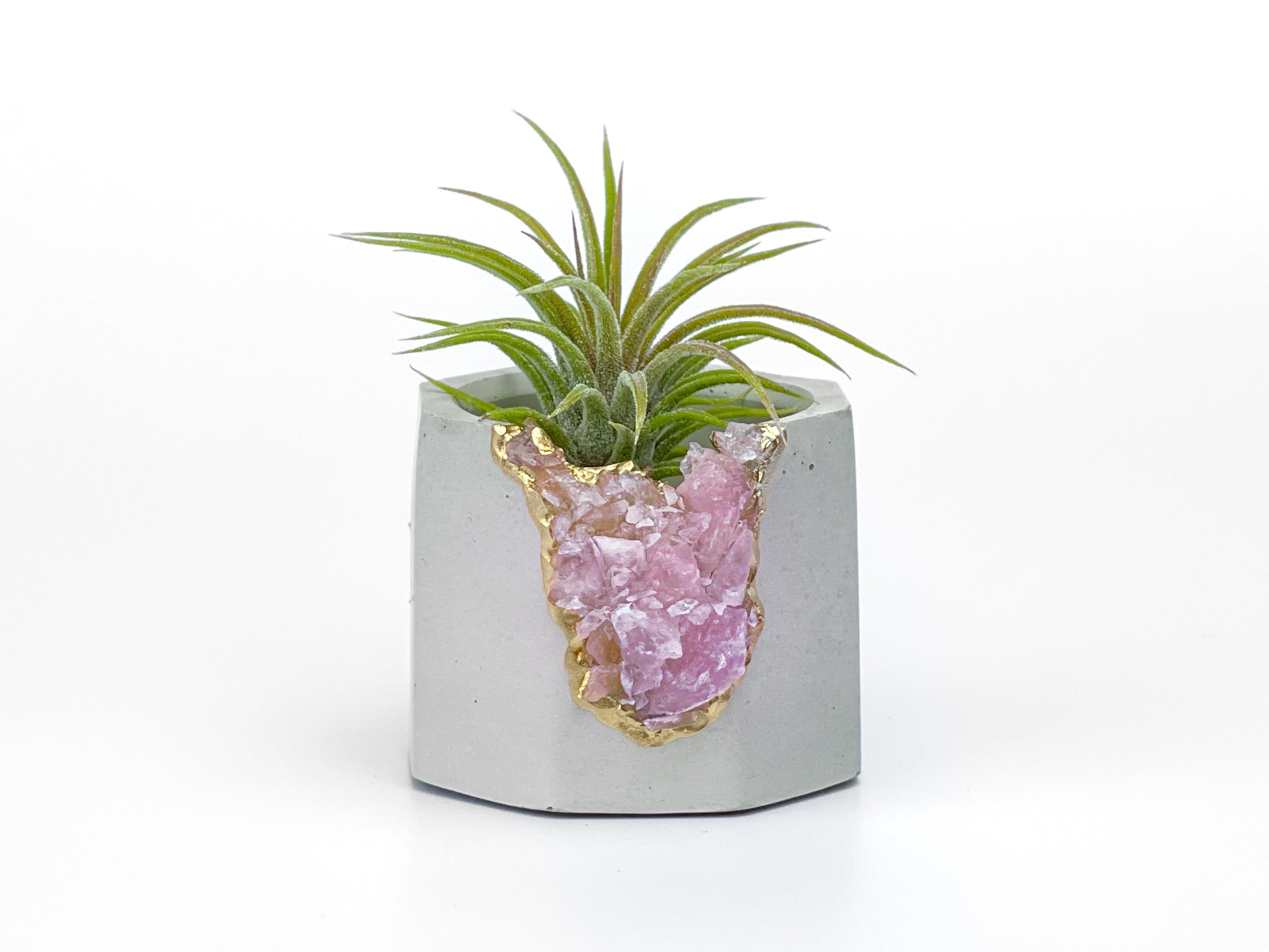 Succulent Crystal Planter Geode Planter Raw Rose Quartz | Etsy
