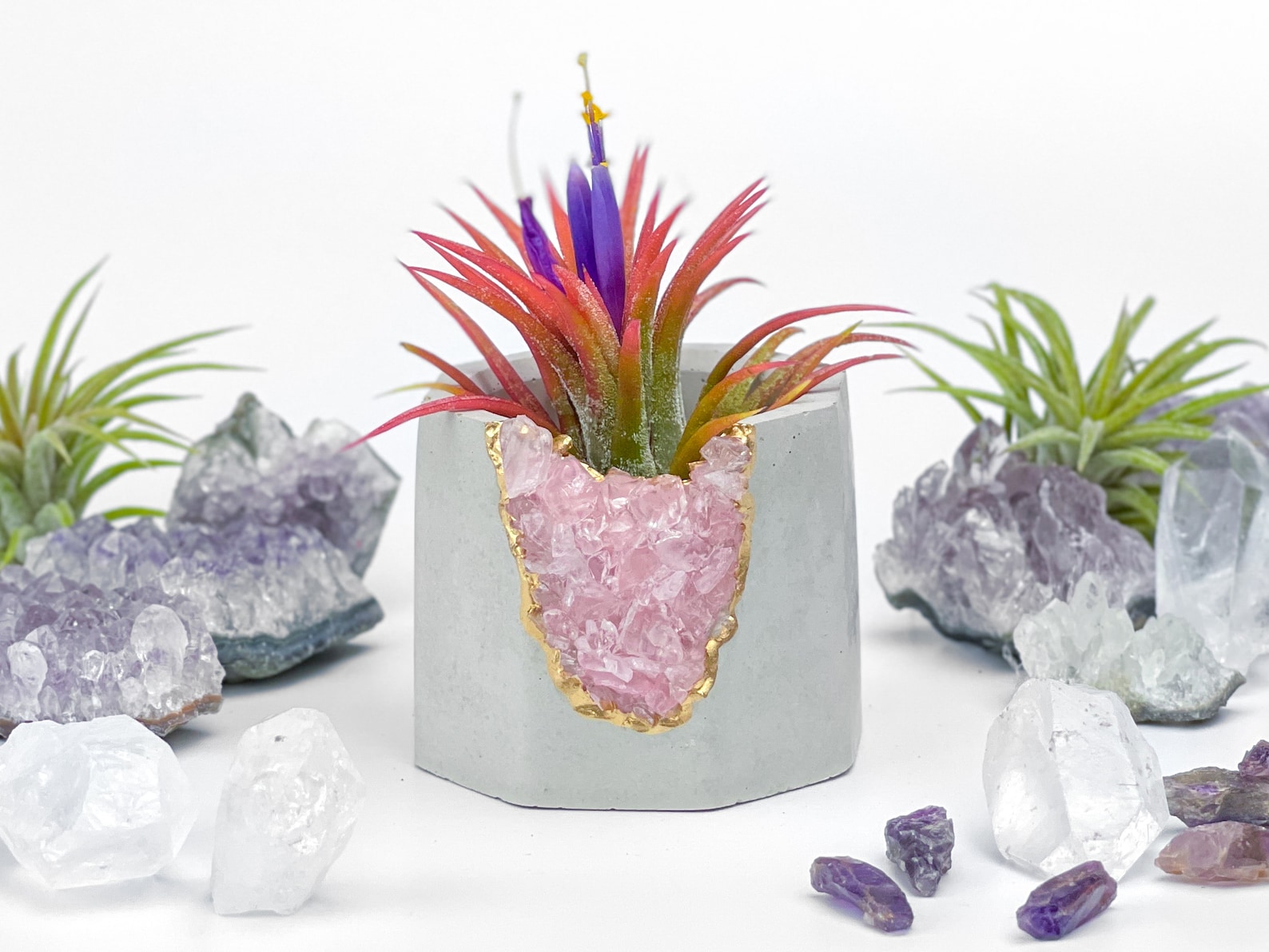 Succulent Crystal Planter Geode Planter Rose Quartz Air - Etsy