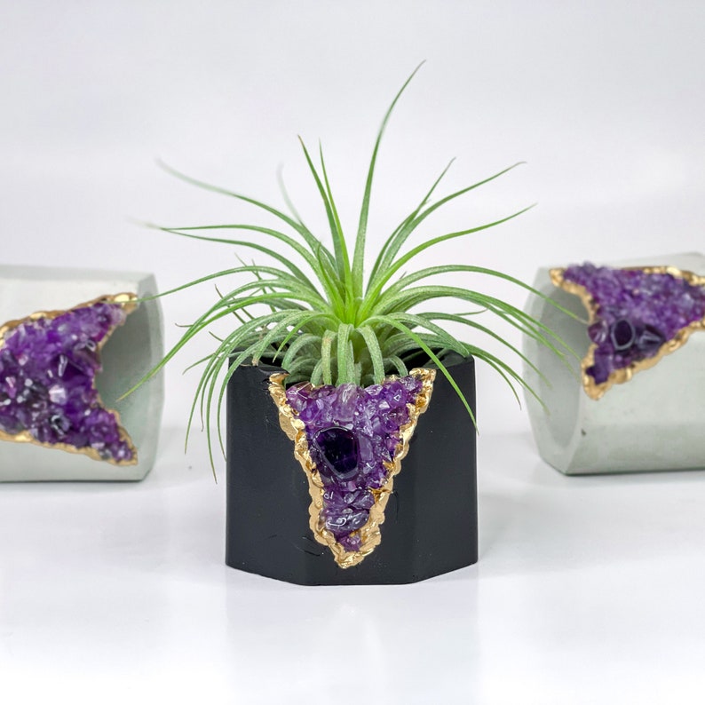Amethyst Crystal Planter | Geode Planter Pot | Black Concrete Succulent ...