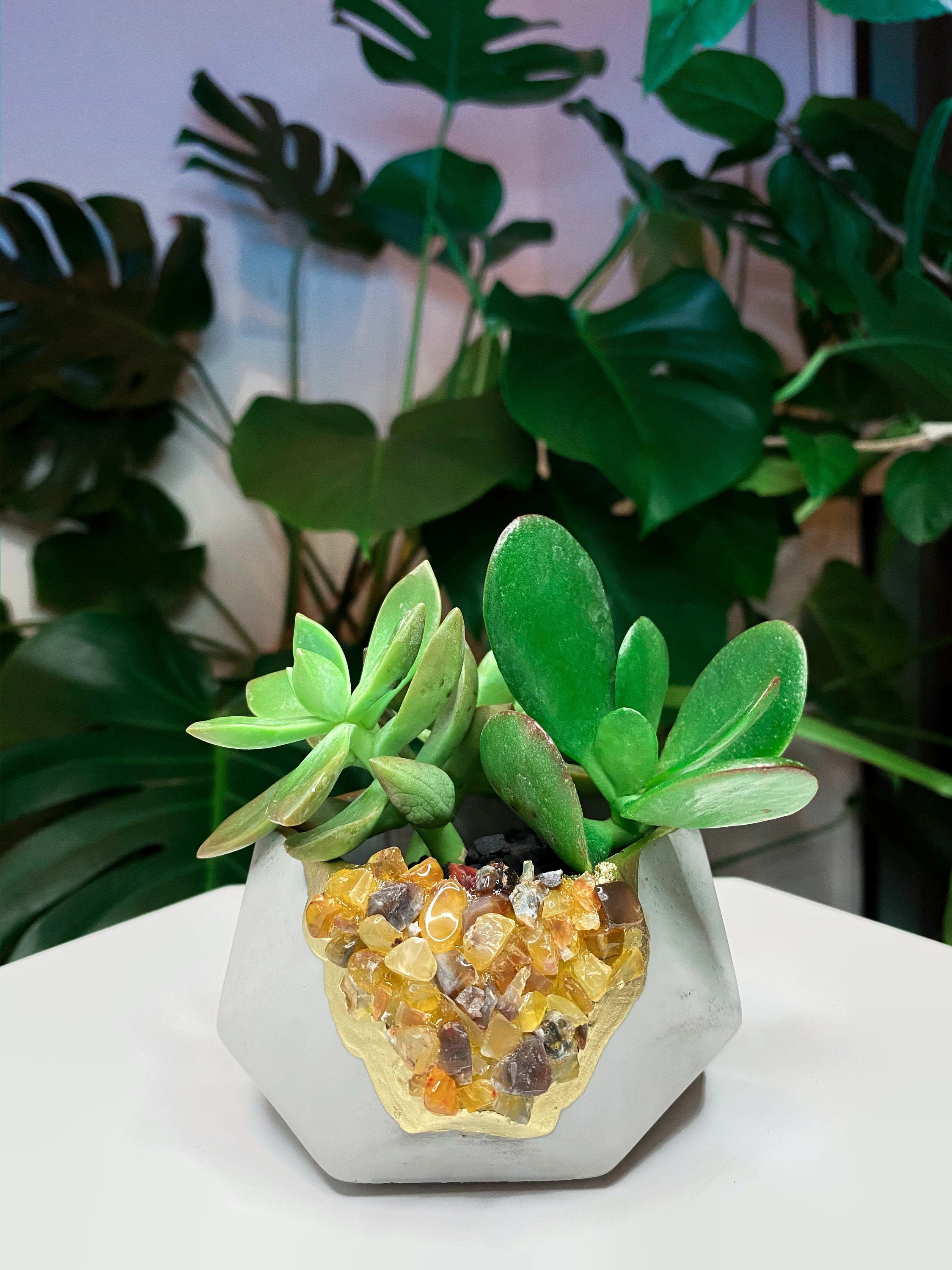 Geode Planter Succulent Planter Yellow Agate Geode Pot | Etsy