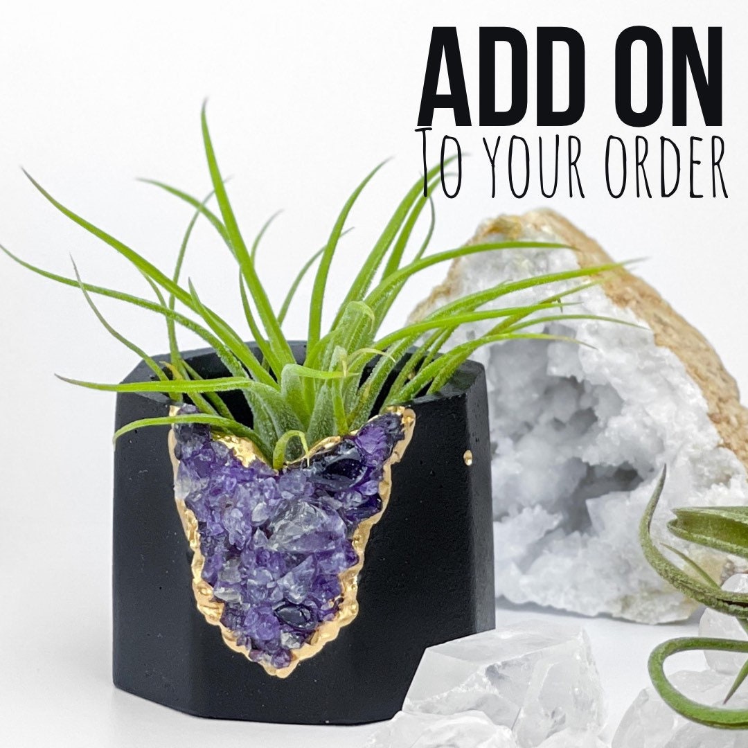 Geode Planter Add on for Your EXISTING Orders no Planters Included - Etsy