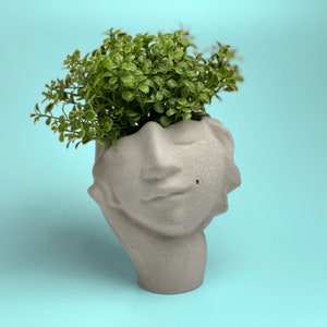 Cement Face Planter, Human Head Planter Pot, Concrete Smiley Face ...