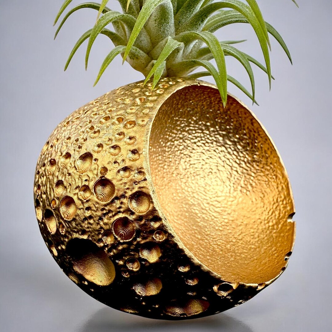 Full Moon Planter Pot – Mystical Lunar Air Plant Holder - Etsy