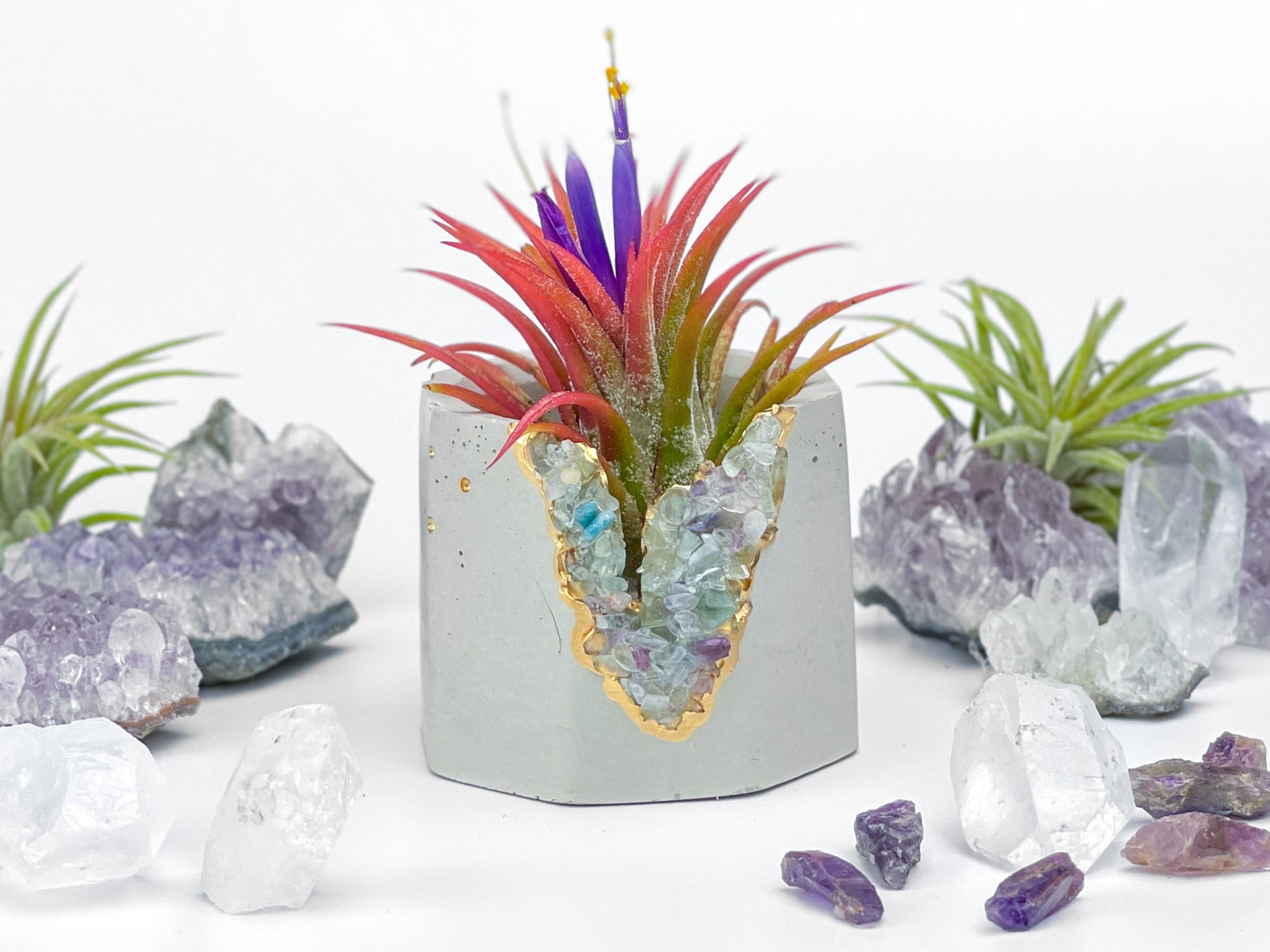 Succulent Pot Fluorite Crystal Planter Geode Planter Mini - Etsy