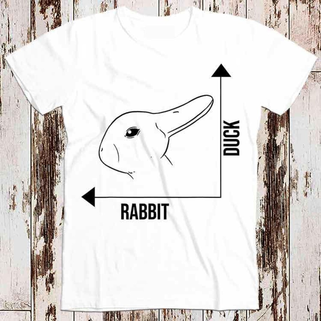 Math Graph Duck Rabbit Chart Easter Eggs Bunny Best Seller T Shirt ...