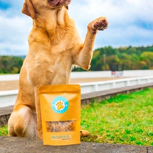Organic Gourmet Bacon Cheddar Dog Biscuits, Handmade Dog Treats ...