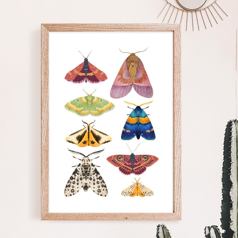 Moth Print - Etsy
