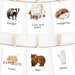 The Mitten Story Cards, Storytelling Cards, Fairy Tale, Homeschool ...